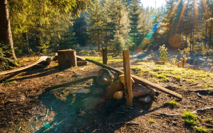 How To Start A Campfire 2024 Guide: 10 Tips For Beginners